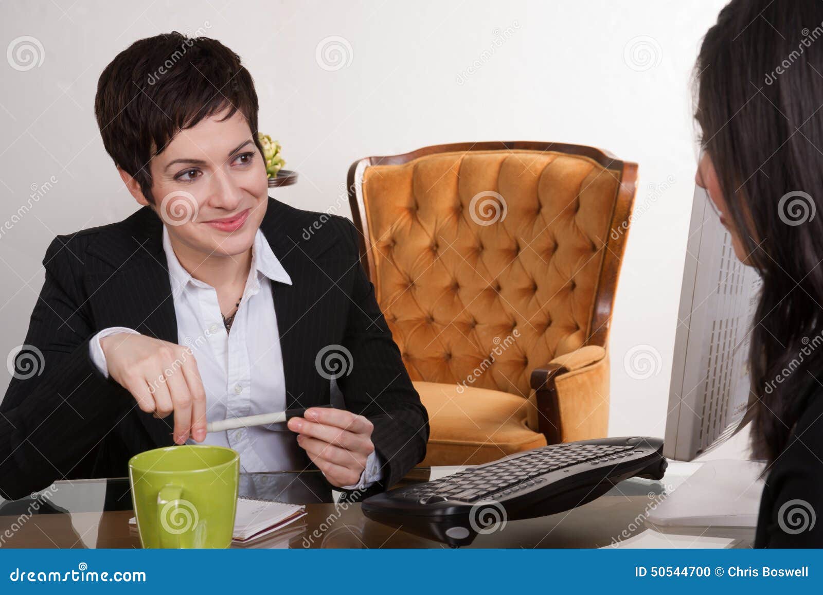 Twee Vrouwen Die Job Interview Computer Desk Office Leiden Stock Foto ...