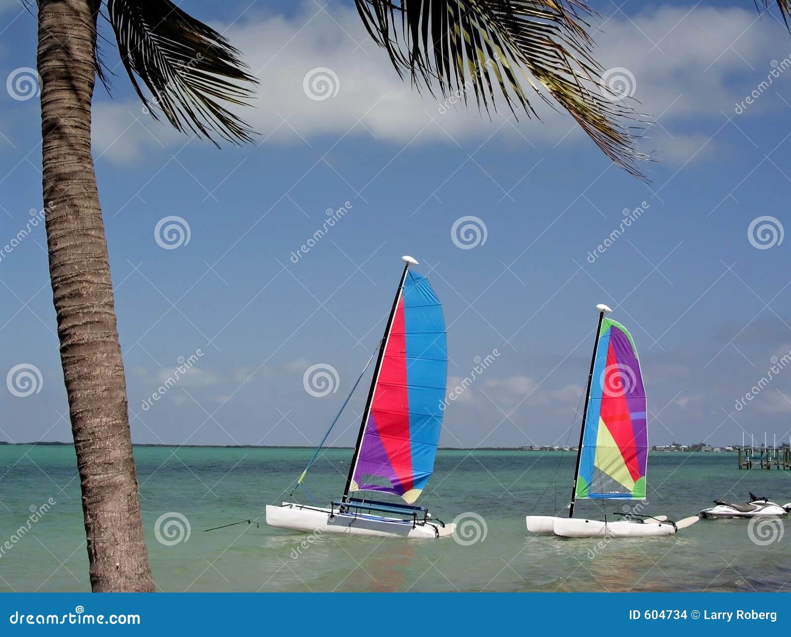 Twee Zeilboten Op Het Water Stock Foto - Image of palm, boom: 604734