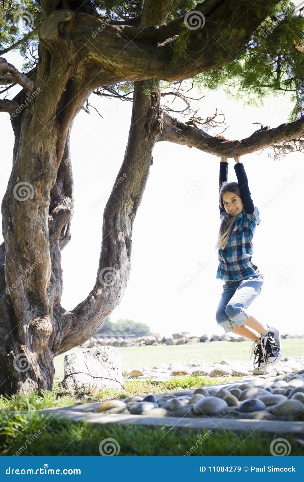 Tween Girl Swinging from Tree Branch Stock Image - Image of childhood ...