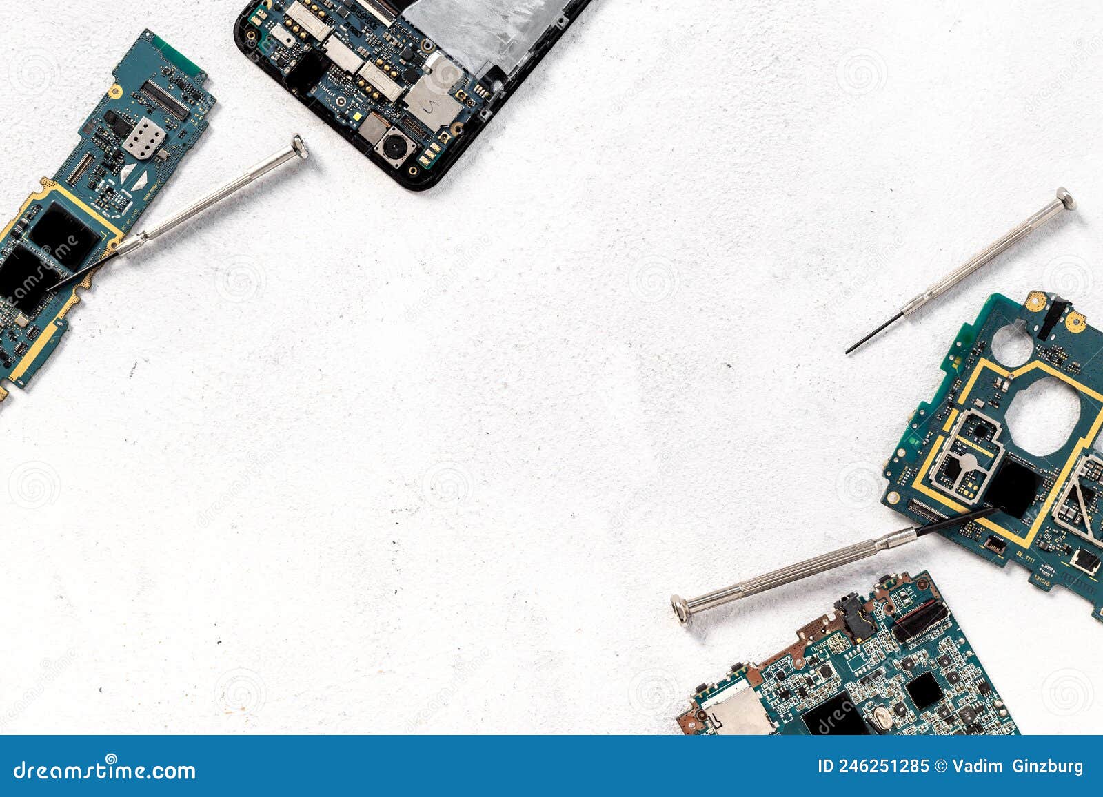 Tweezer with Microchip on Circuit Board. Tech Support or Repair Servise ...