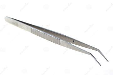 Tweezers stock photo. Image of supplies, laboratory, medical - 4824968
