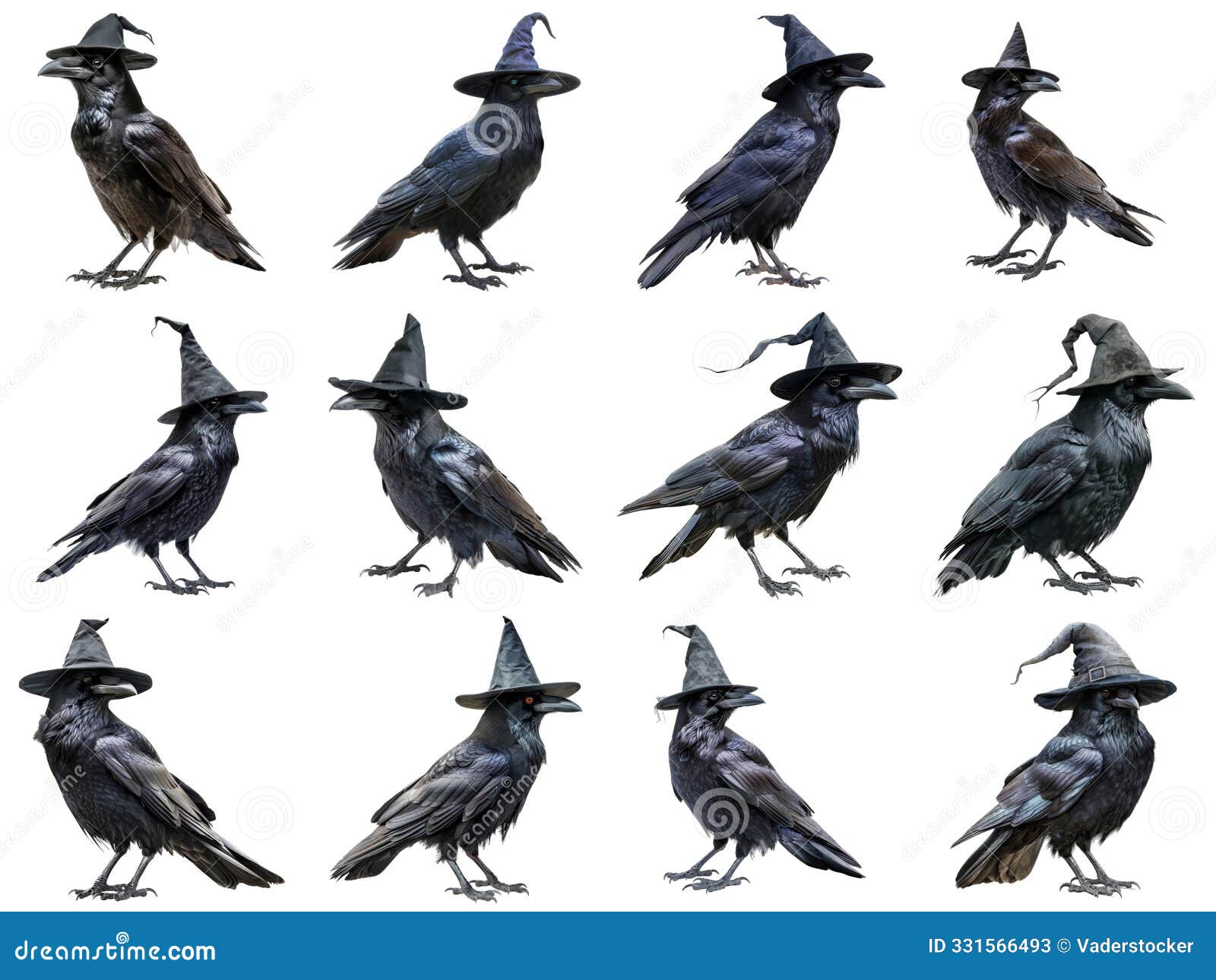 Wizard Of Crows Casting A Spell Royalty-Free Illustration ...