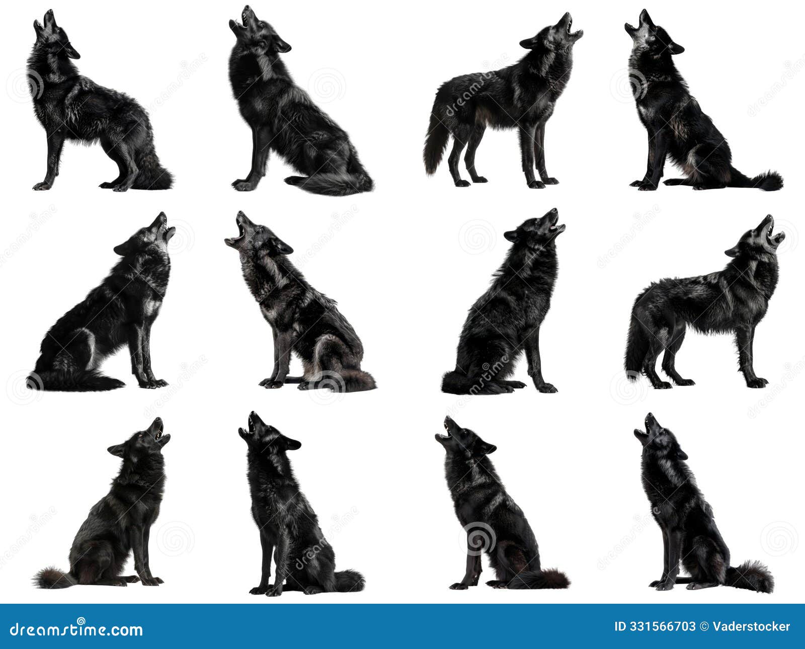 Twelve Black Wolves Howling at the Moon Stock Illustration ...
