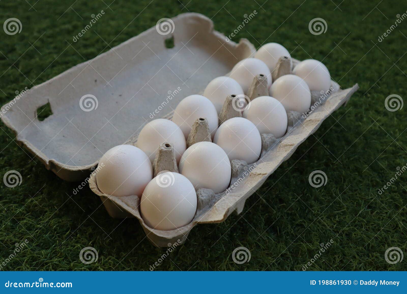 Twelve Eggs in a Cardboard Box on a Piece of Synthetic Grass Stock ...