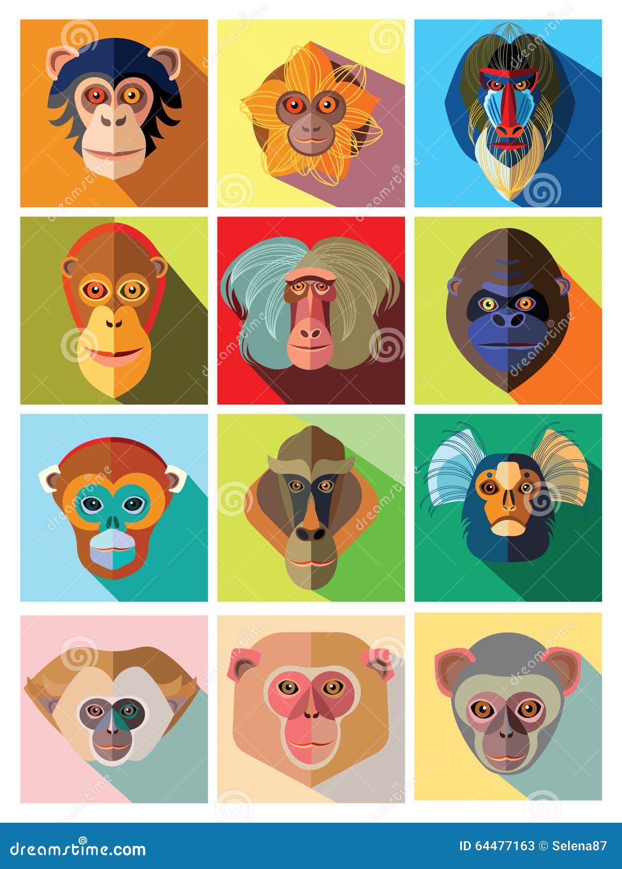 Set Of Monkeys Of Different Species. Realistic Macaque And Uakari On ...