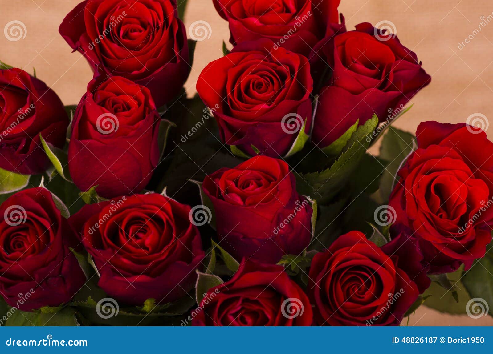 Twelve Red Valentine Roses stock image. Image of valentine - 48826187