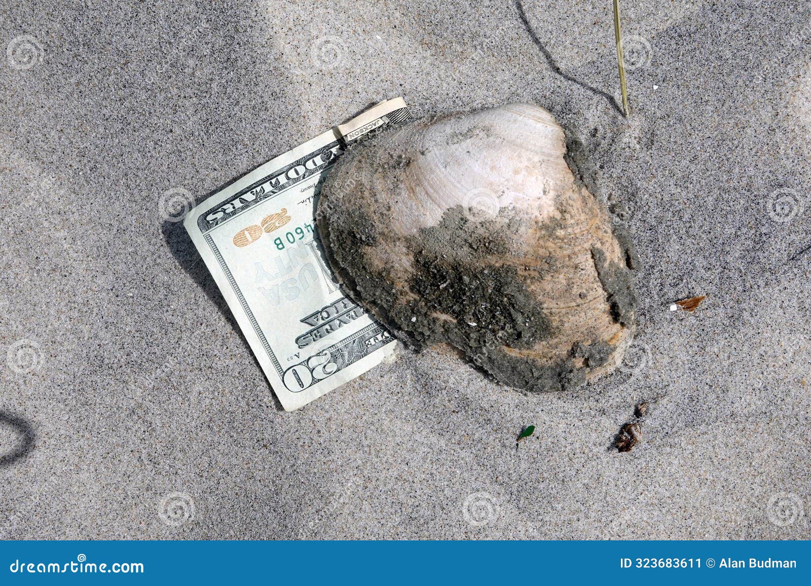 Twenty Dollar Bill Partially Covered by a Seashell on a Sandy Beach ...