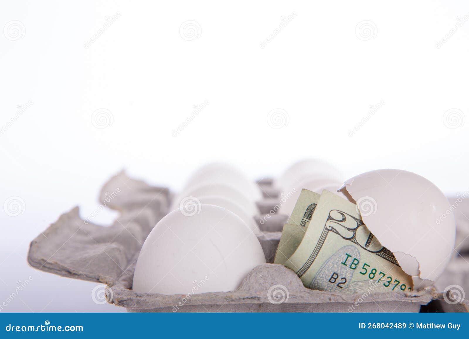 Twenty Dollar Note Hatching from White Egg Stock Image - Image of ...