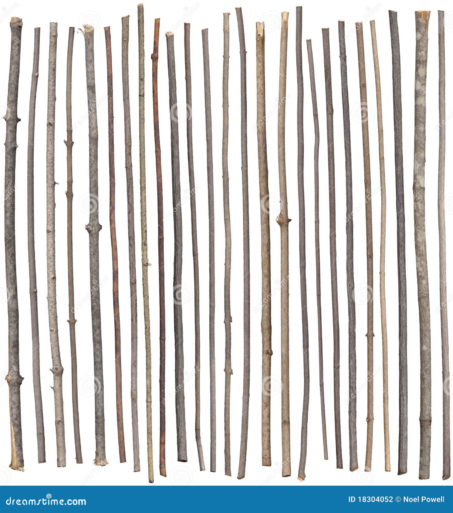Twenty Five Sticks stock photo. Image of broken, isolated - 18304052