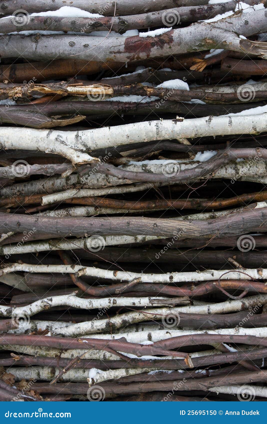 Twig background stock photo. Image of plant, attribute - 25695150