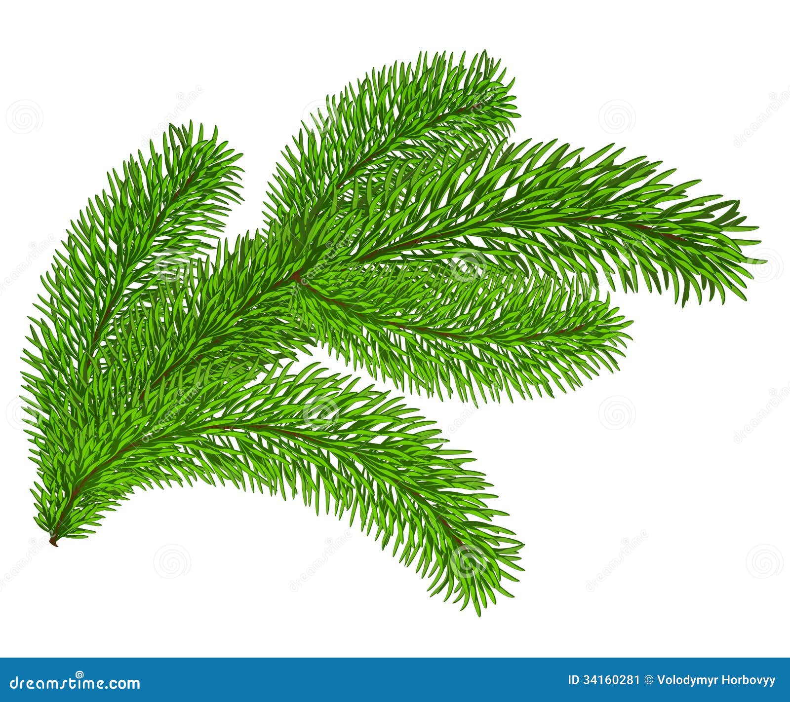 Evergreen Leaves Clipart