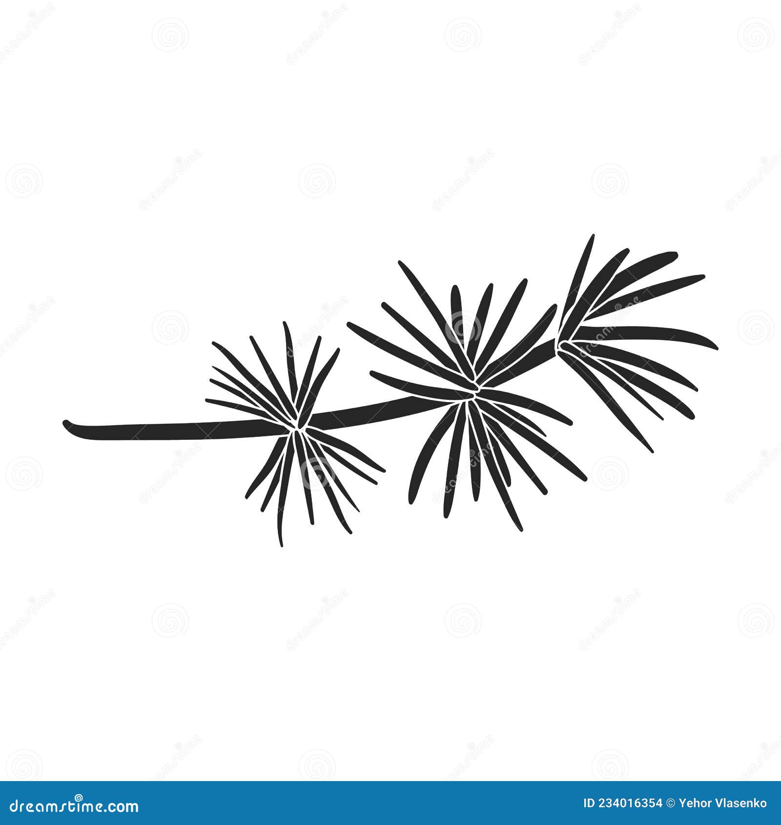 Twig Pine Isolated Black Icon. Vector Illustration Spruce Twig Pine on ...