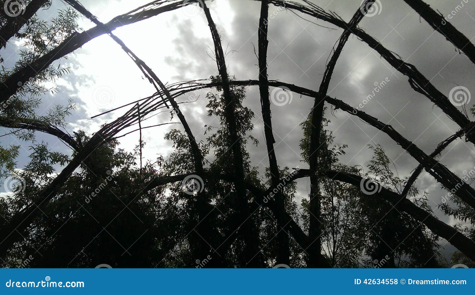 Twig shelter stock photo. Image of structure, branches - 42634558