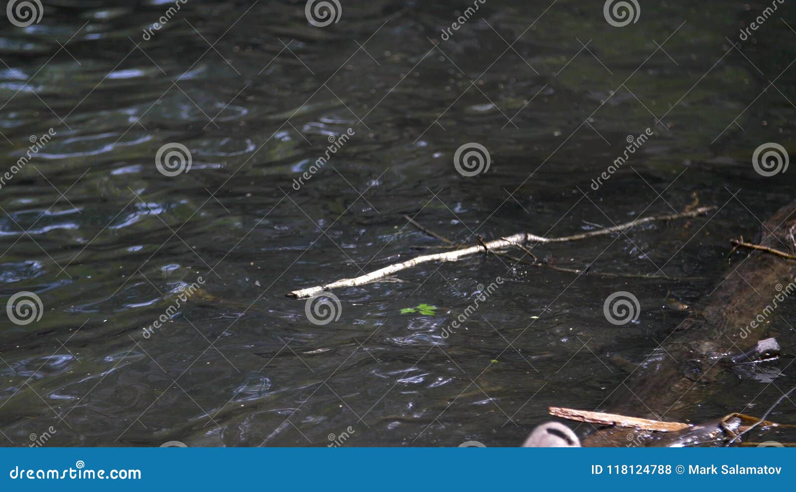 A Twig from a Tree Floats Along the River Stock Footage - Video of ...