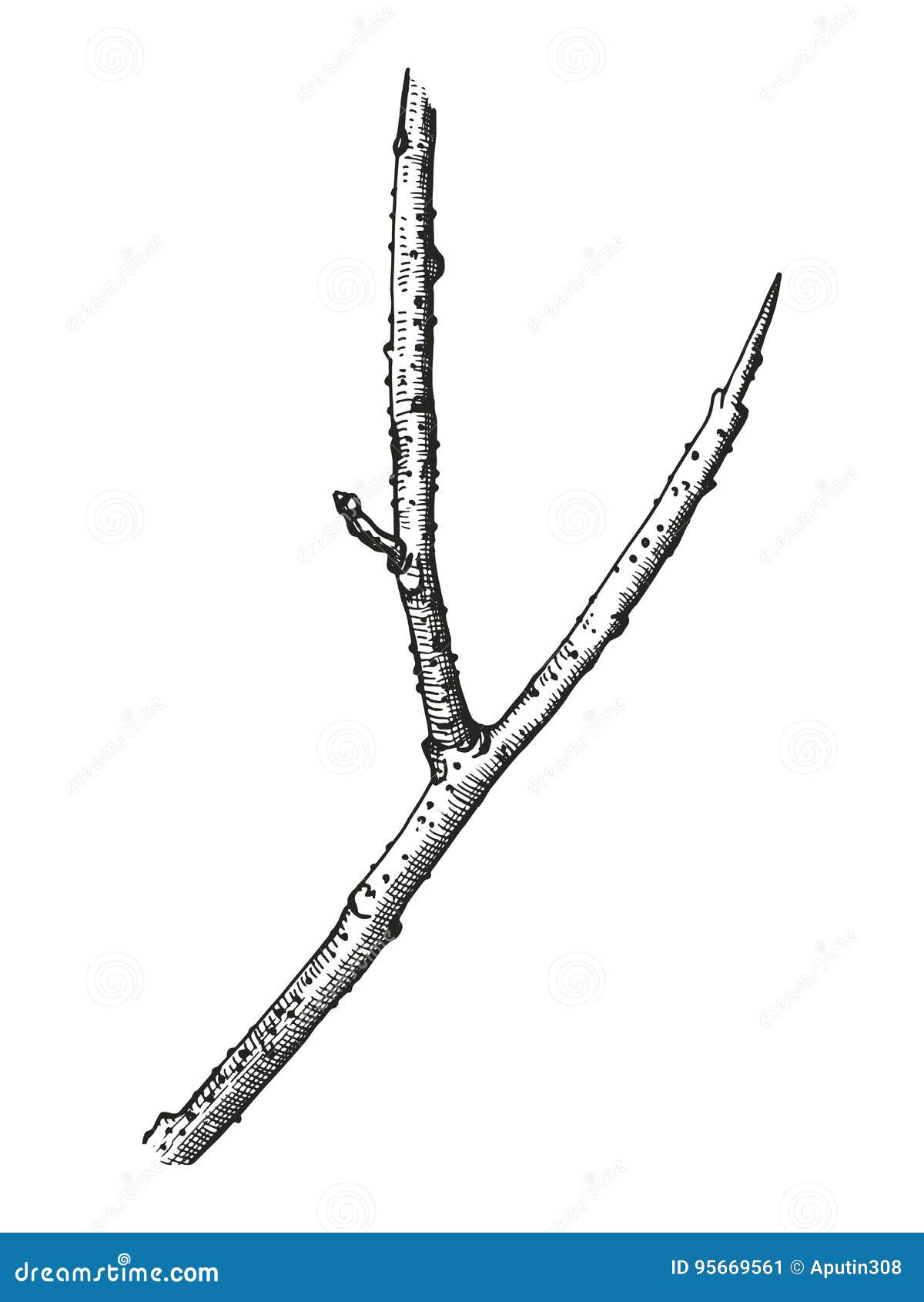 Twig from a Tree. Sketch Vector Illustration Stock Vector ...