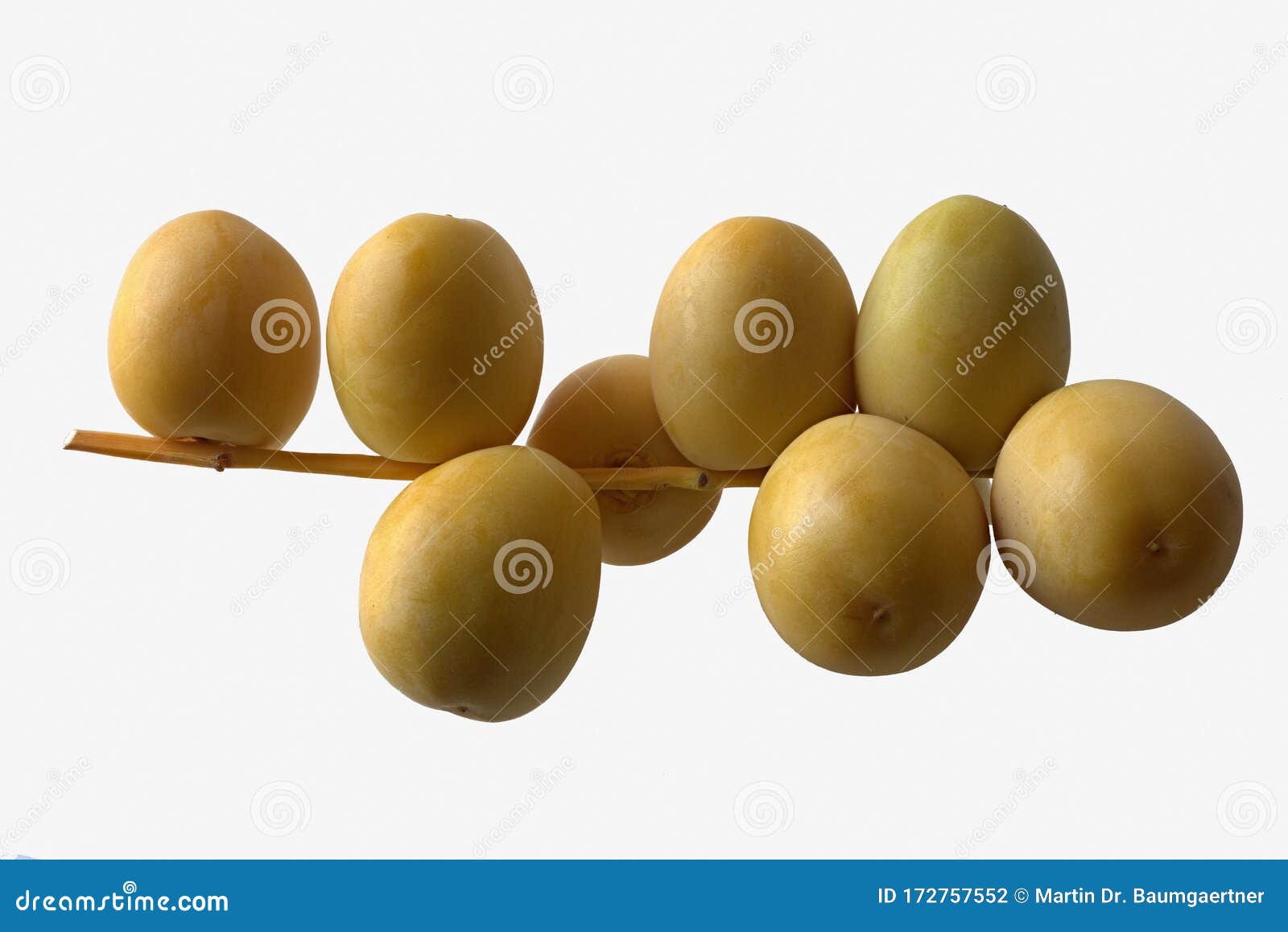 Fresh dates, isolated stock photo. Image of isolated - 172757552