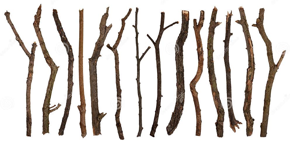 Twigs stock photo. Image of wooden, plant, brown, tree - 18966122