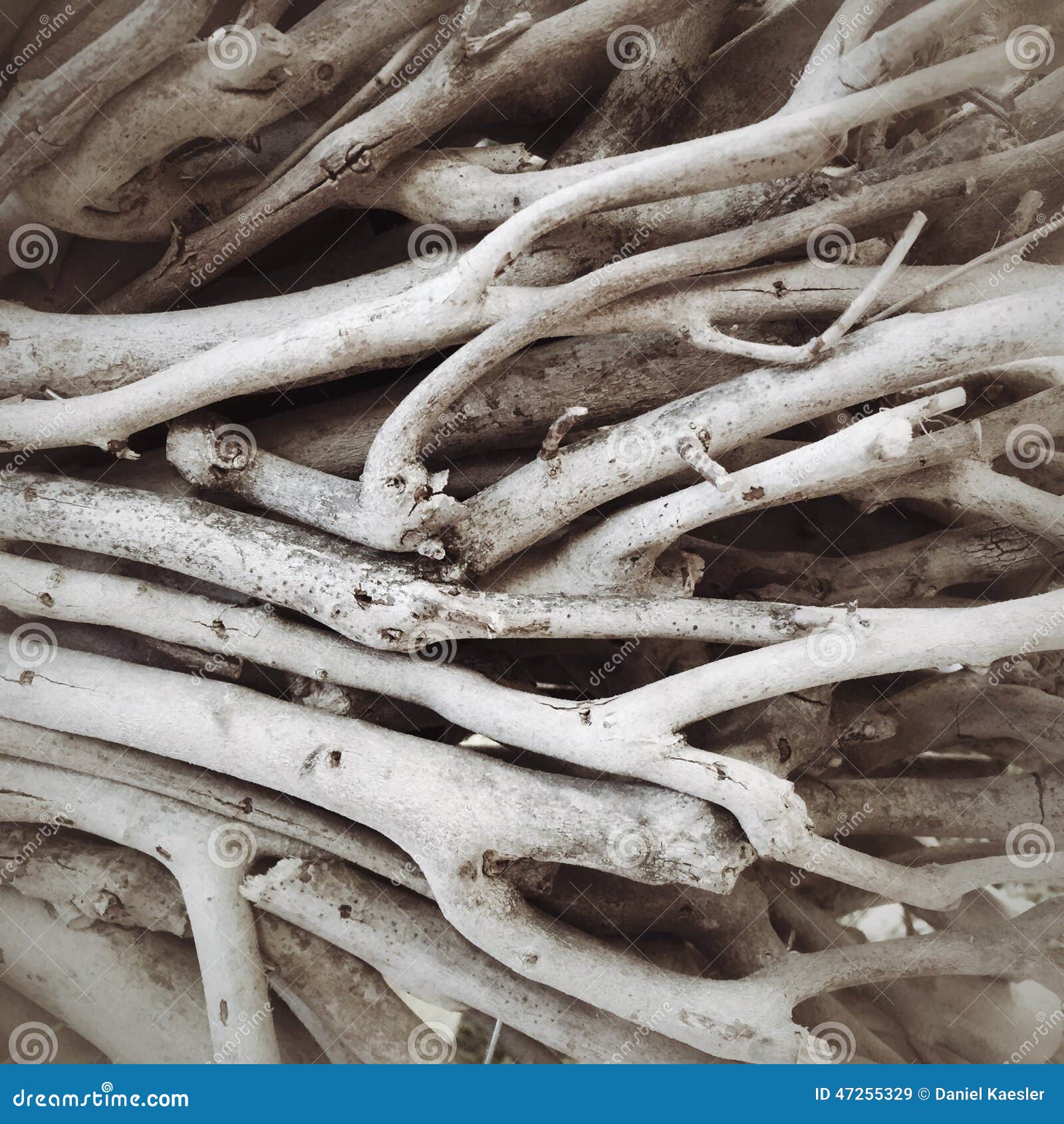 Twigs background stock image. Image of abstract, branches - 47255329