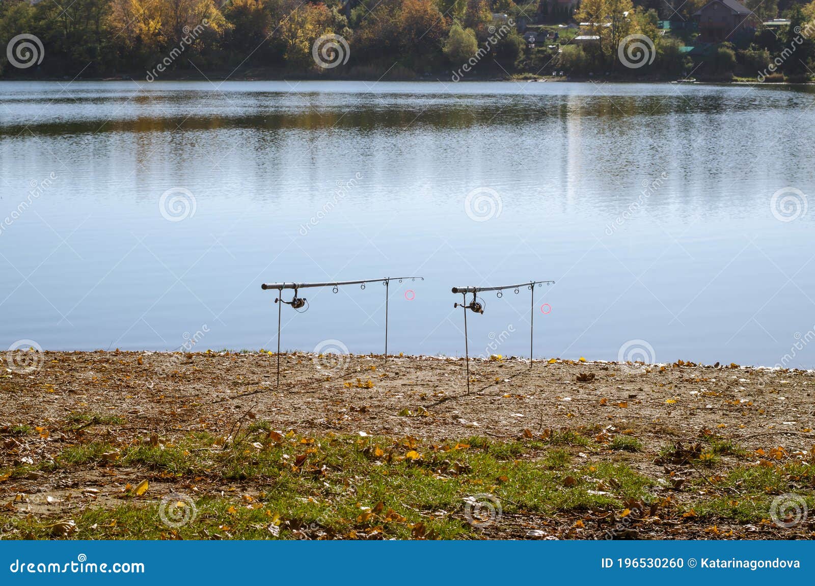 Still water in pond stock photo. Image of pond, nature - 196530260