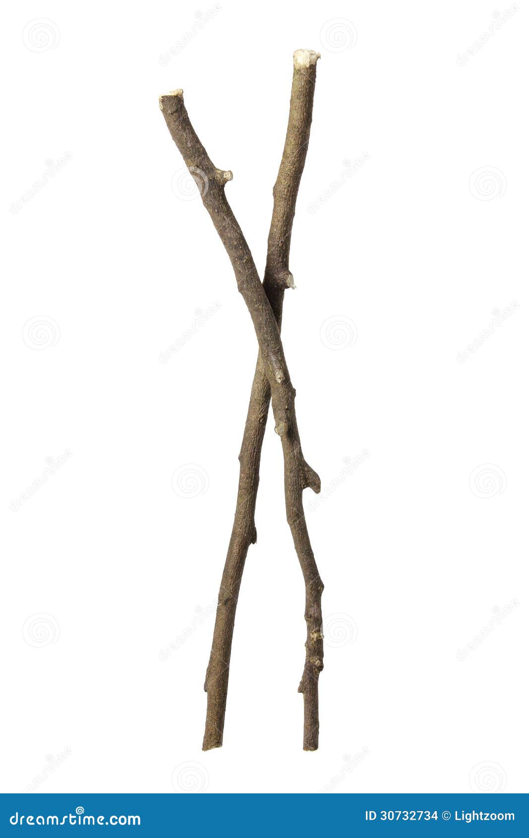 Twigs stock photo. Image of background, life, nature - 30732734