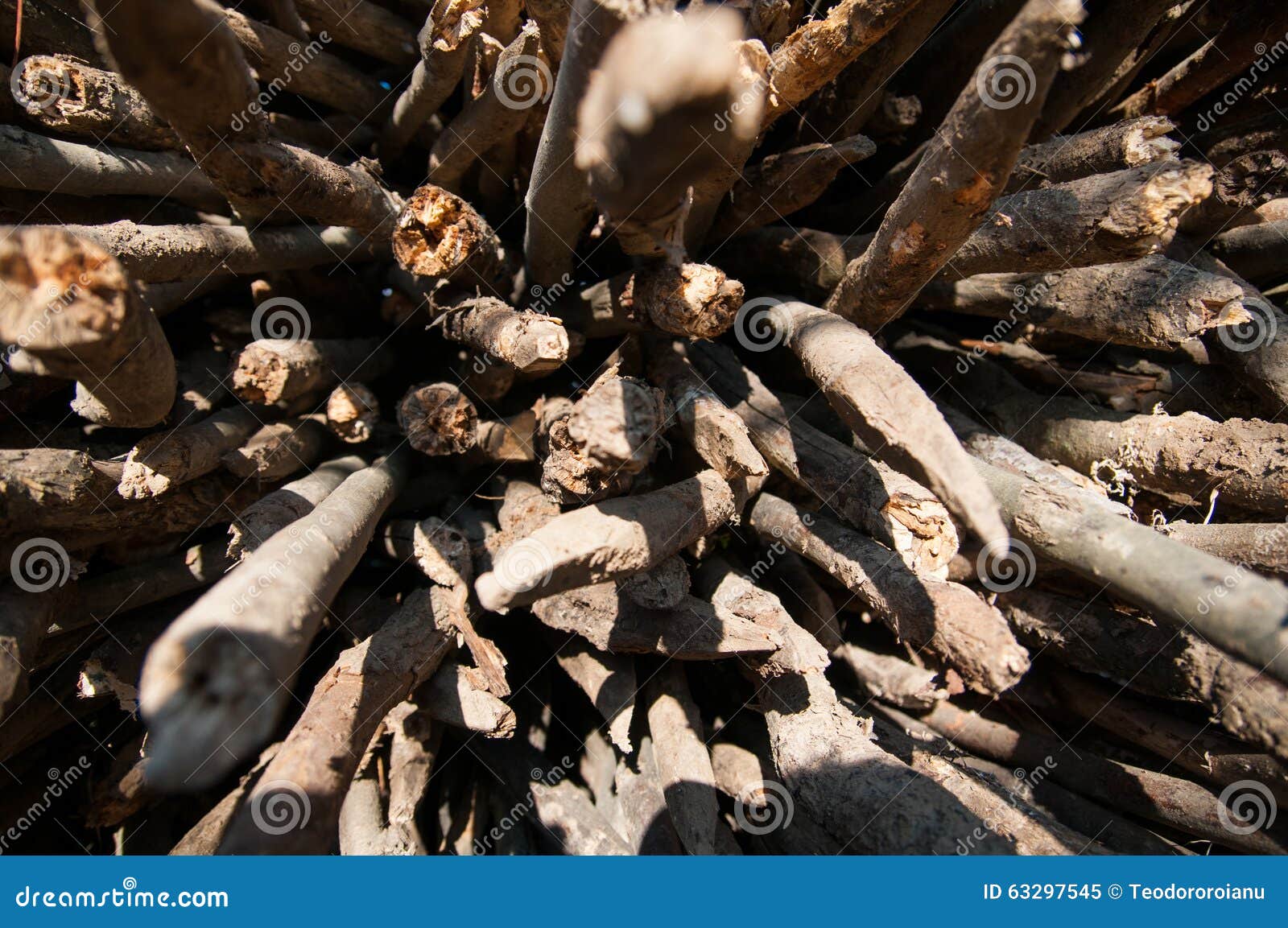 Twigs stock image. Image of small, twigs, sprigs, biomass - 63297545
