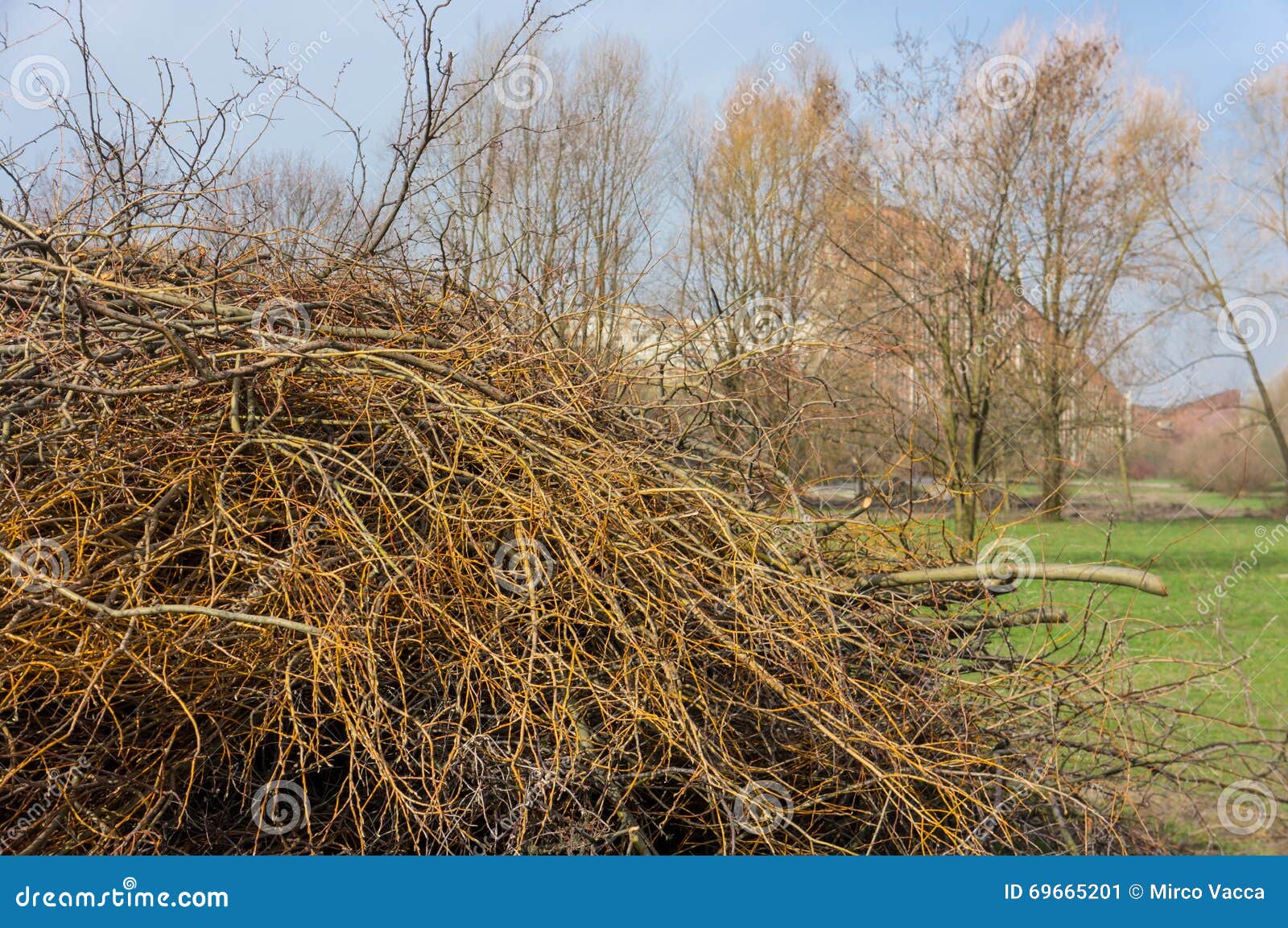 Twigs stock image. Image of pile, natural, twigs, outdoor - 69665201