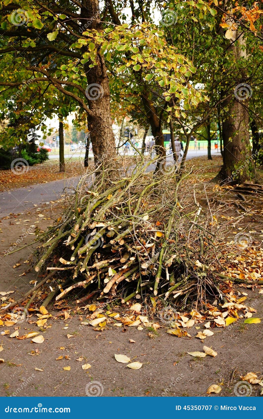 Twigs pile stock image. Image of tree, shrub, pile, natural - 45350707