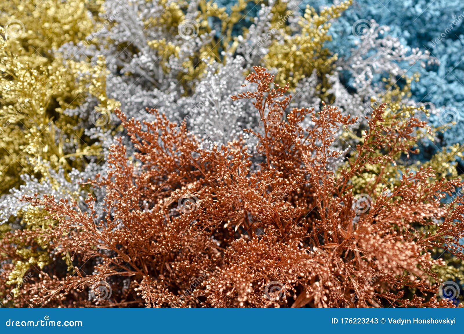 Twigs of Plants for Decorating Bouquets of Flowers Stock Image - Image ...