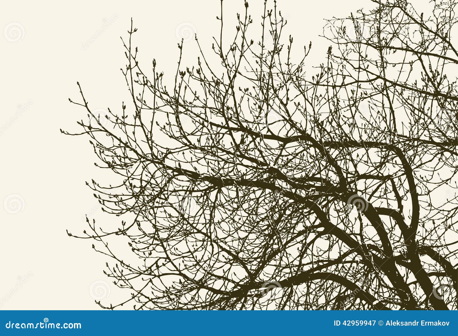 Twigs of a spring tree stock vector. Illustration of curved - 42959947