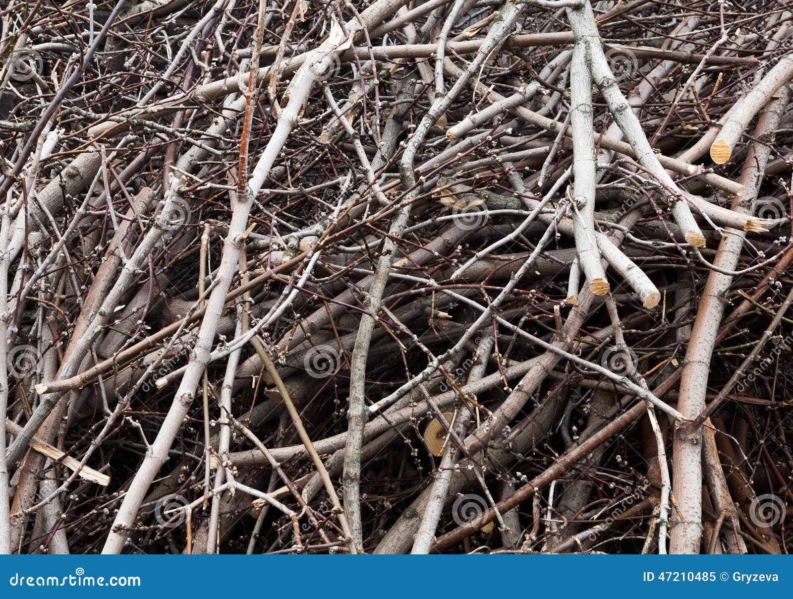 A Twigs and the Sticks Close-up Stock Image - Image of pile, closeup ...