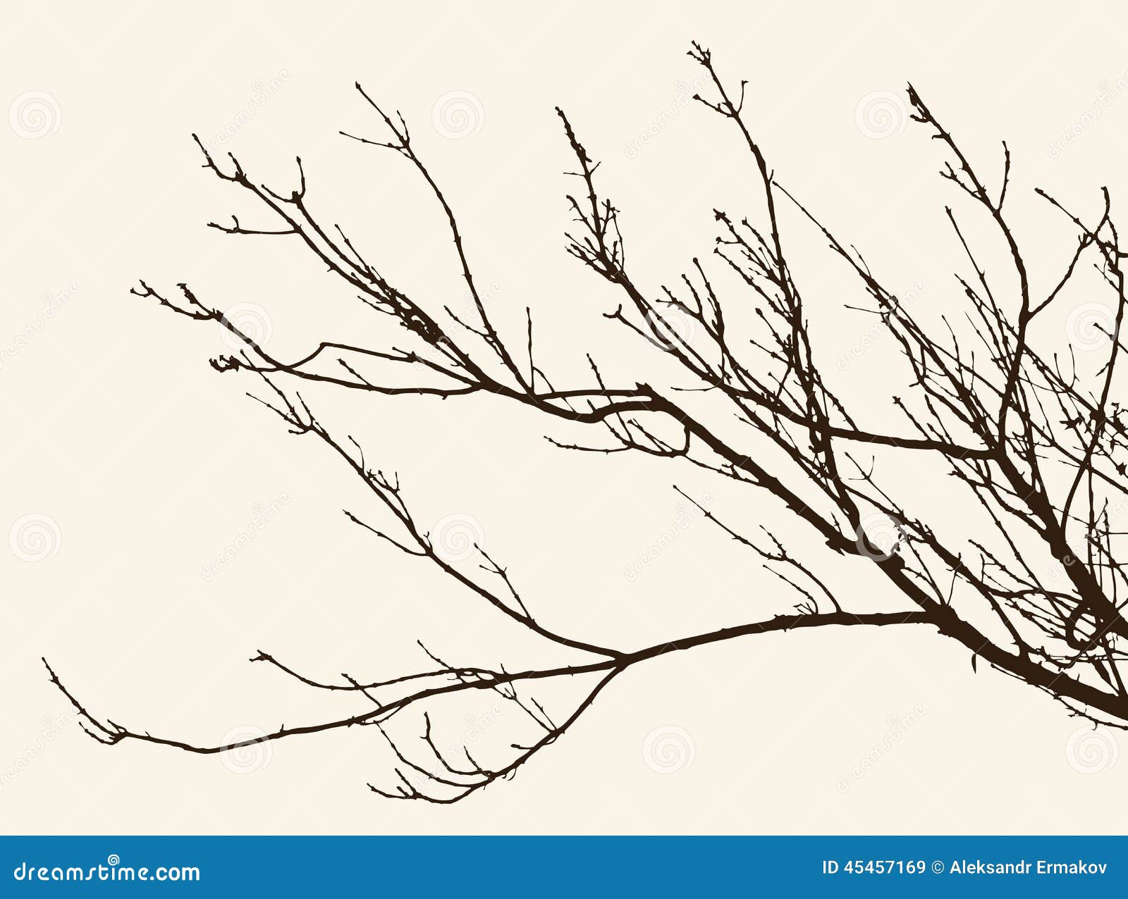 Twigs stock vector. Illustration of sprigs, branches - 45457169