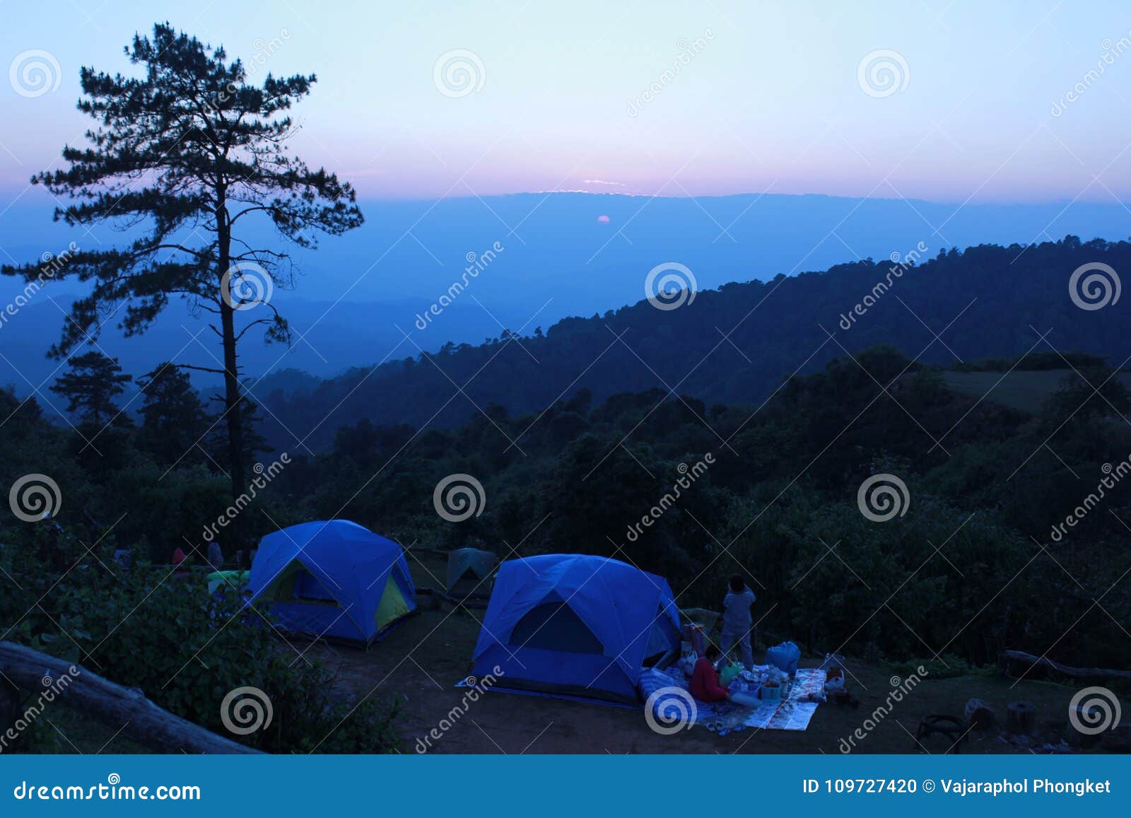 Twilight with Alone Tree and Two Tents at Camping Zone Editorial Image ...