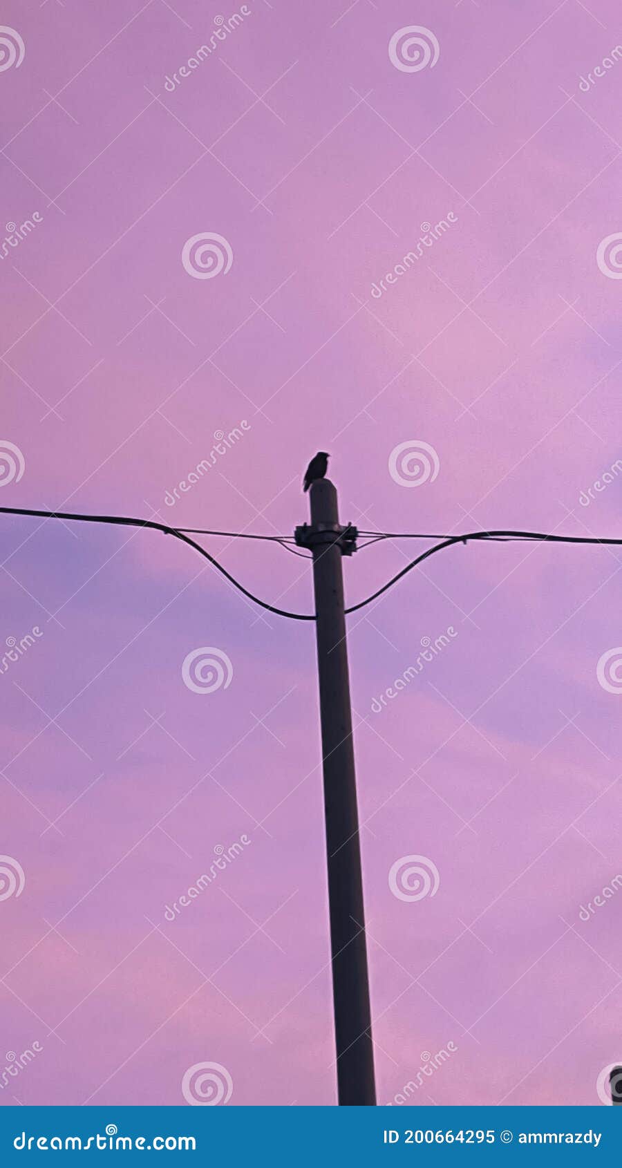 Sea Birds On Poles Stock Image | CartoonDealer.com #163281235