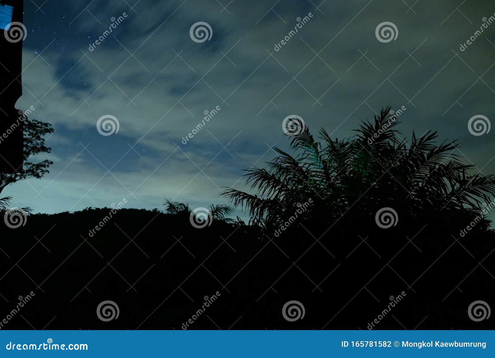 Twilight Blue Sky with Clouds and Palm Tree Stock Photo - Image of ...