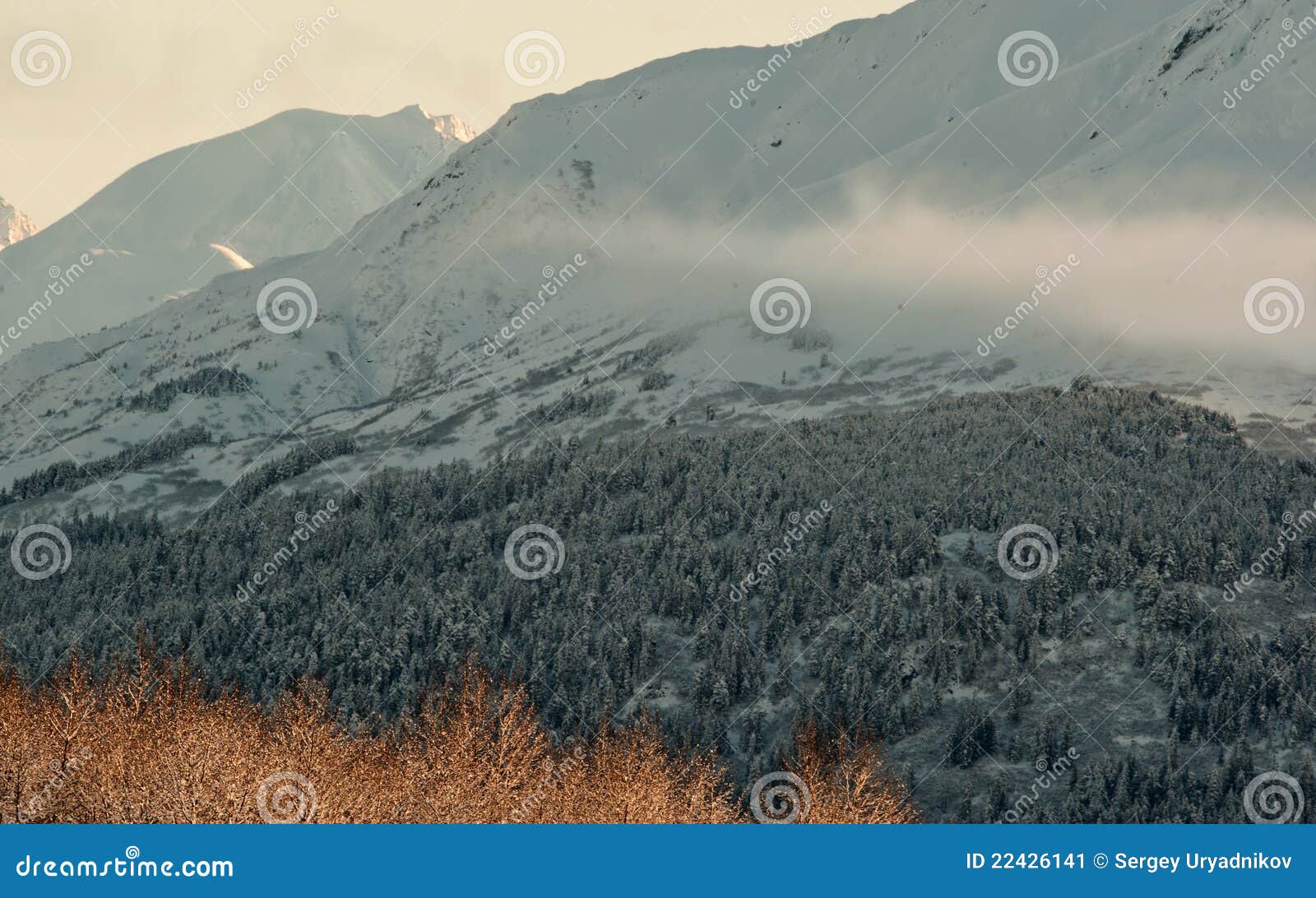 The Twilight Chilkat Valley Stock Image - Image of beauty, background ...