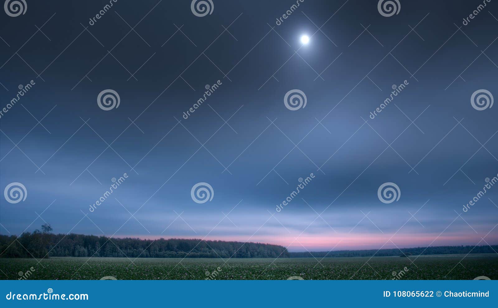 Twilight Clover Field Under Full Moon in Light Clouds Stock Photo ...