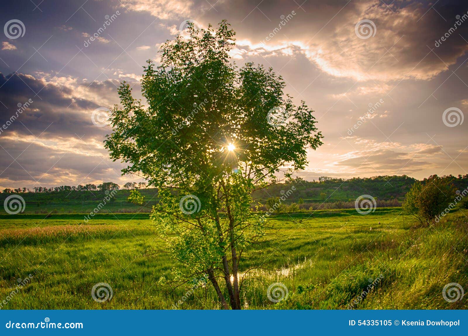 In the twilight of the day stock image. Image of mountain - 54335105