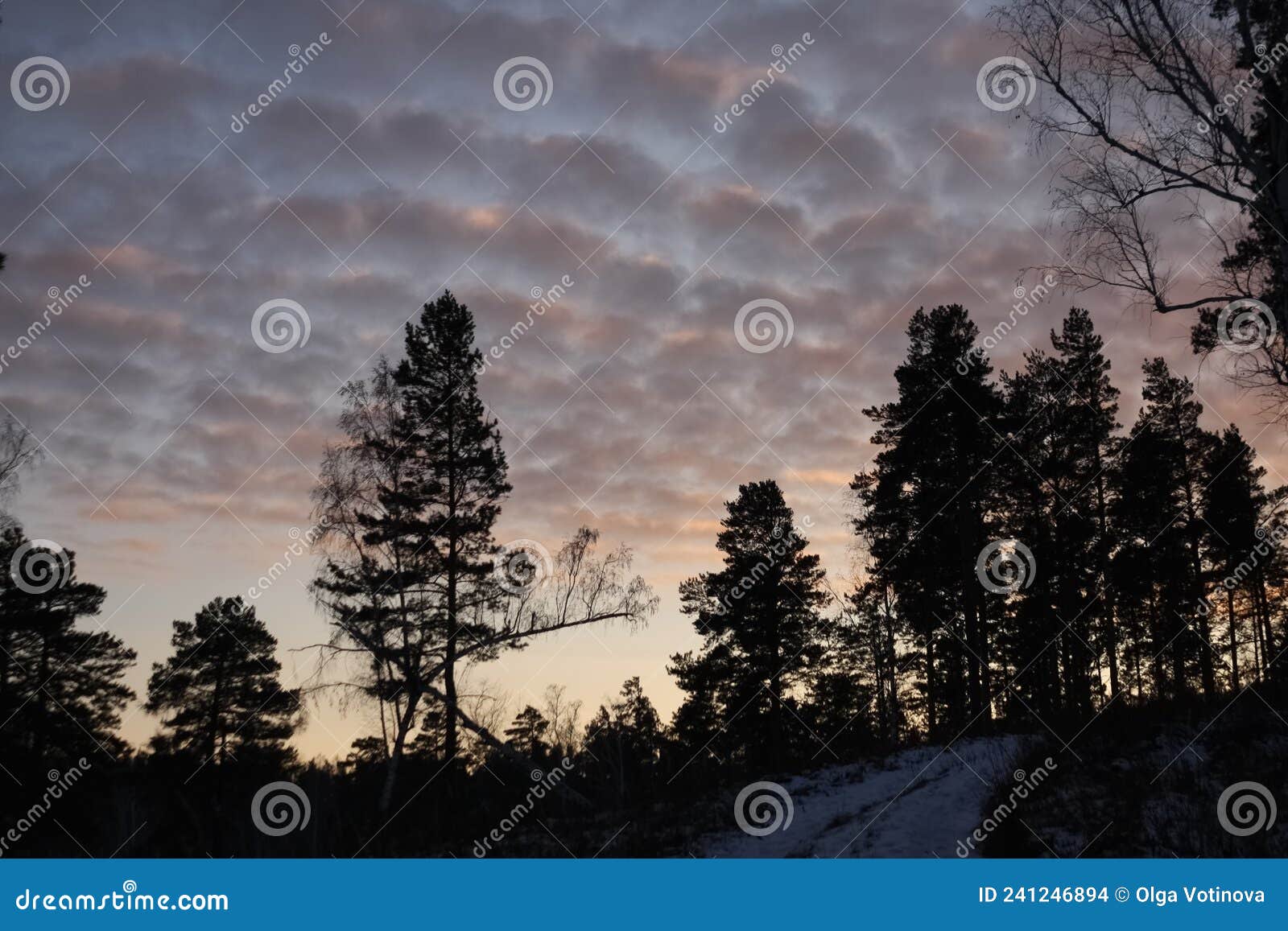 Twilight in the Forest, Sunset with Clouds Stock Photo - Image of ...