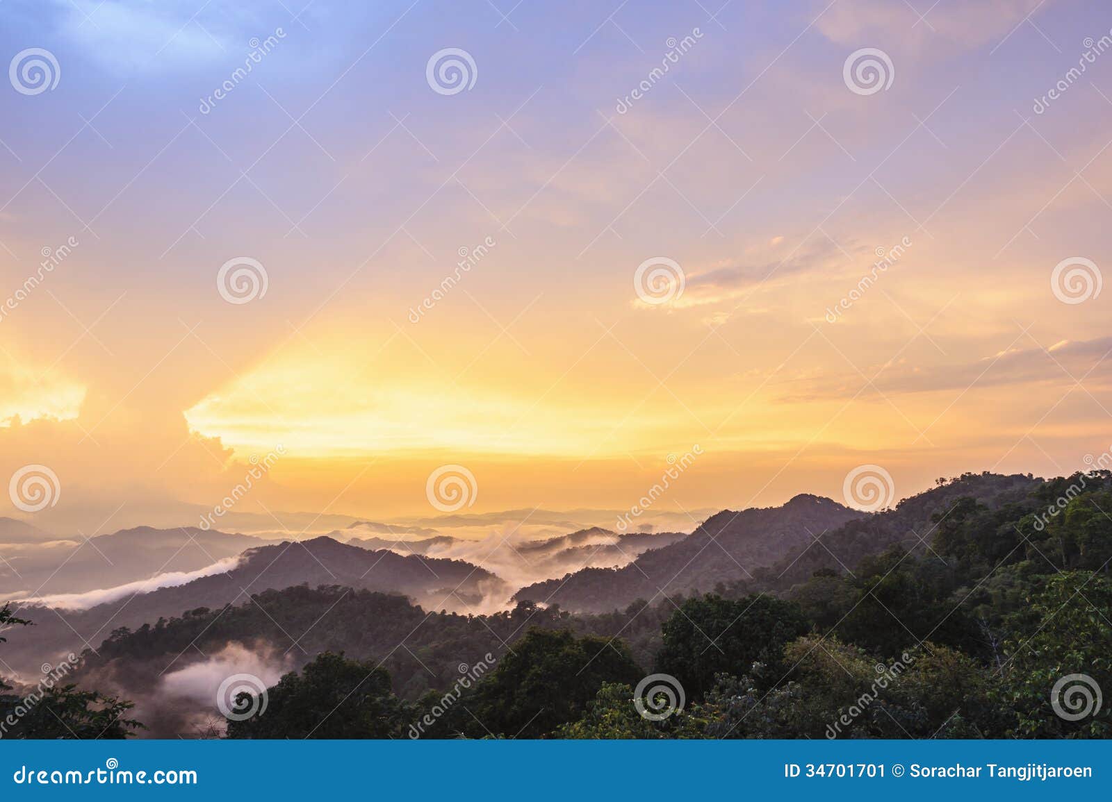 Twilight Landscape in Rain Forest. Stock Image - Image of environment ...