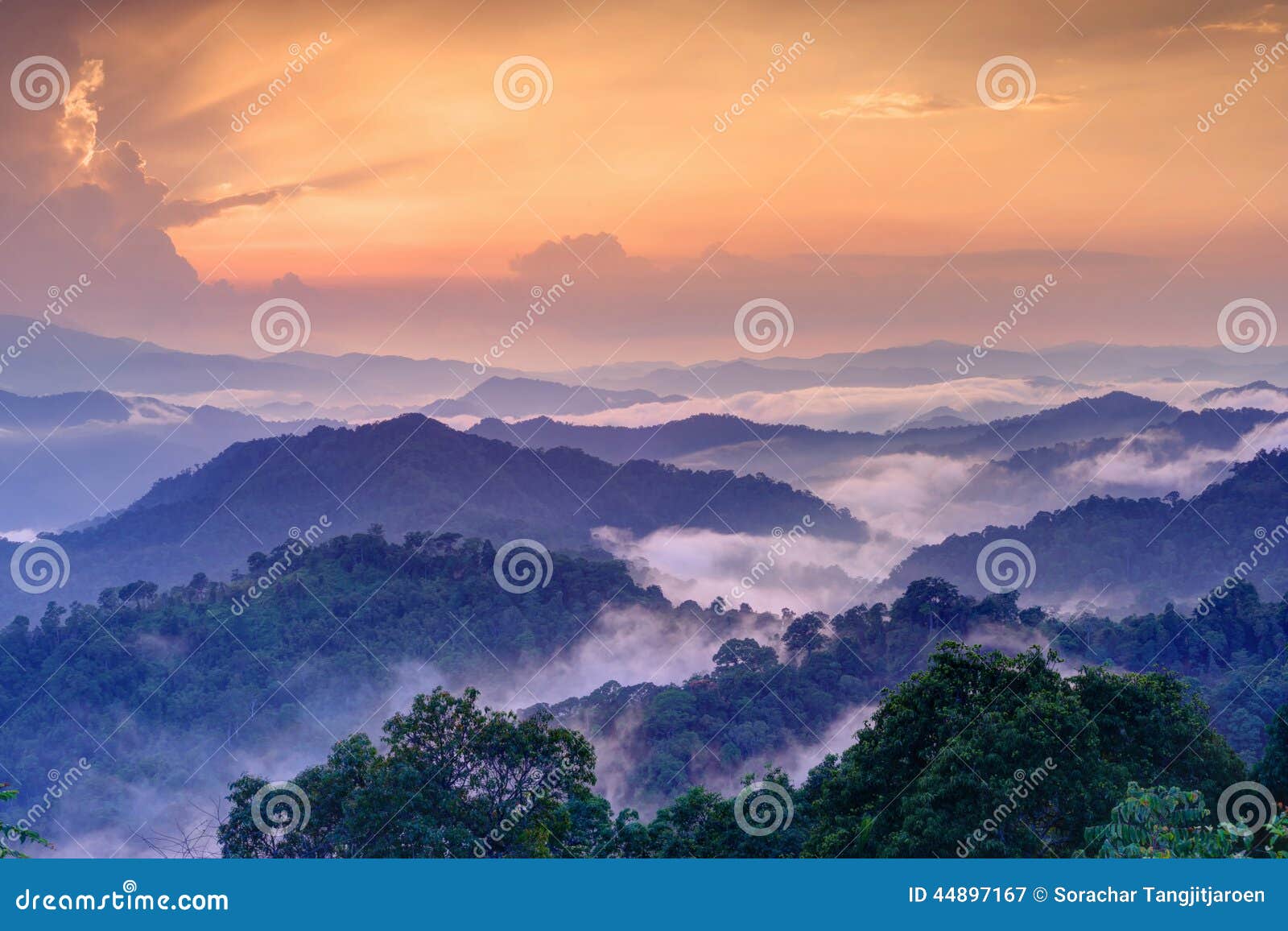 Twilight Landscape in Rain Forest, HDR Process. Stock Image - Image of ...