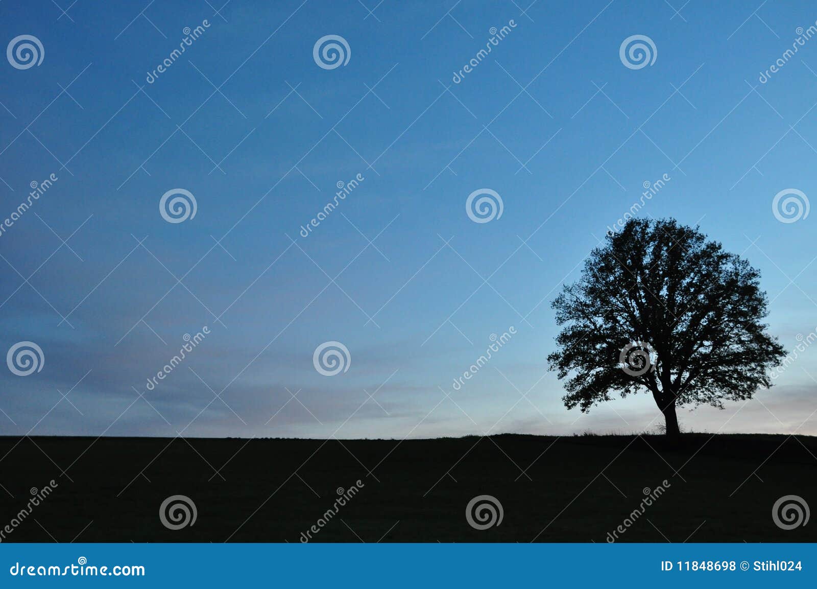 Twilight Landscape with Single Tree Stock Photo - Image of midnight ...