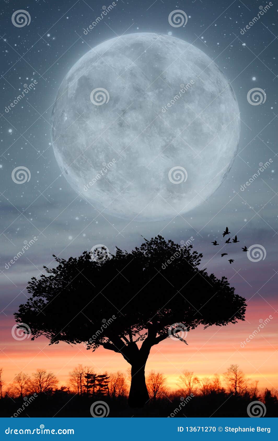 Twilight Moon stock photo. Image of birds, huge, large - 13671270