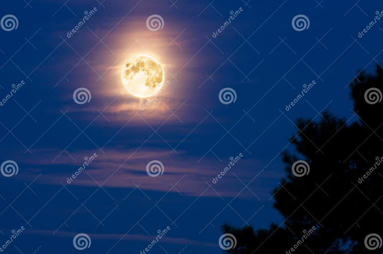 Twilight Moon stock photo. Image of large, dusk, picturesque - 26019952