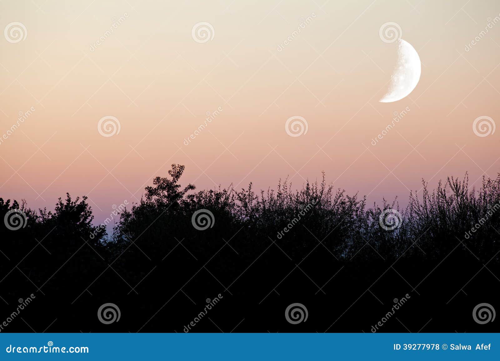 Twilight Moon stock photo. Image of outdoor, autumn, park - 39277978