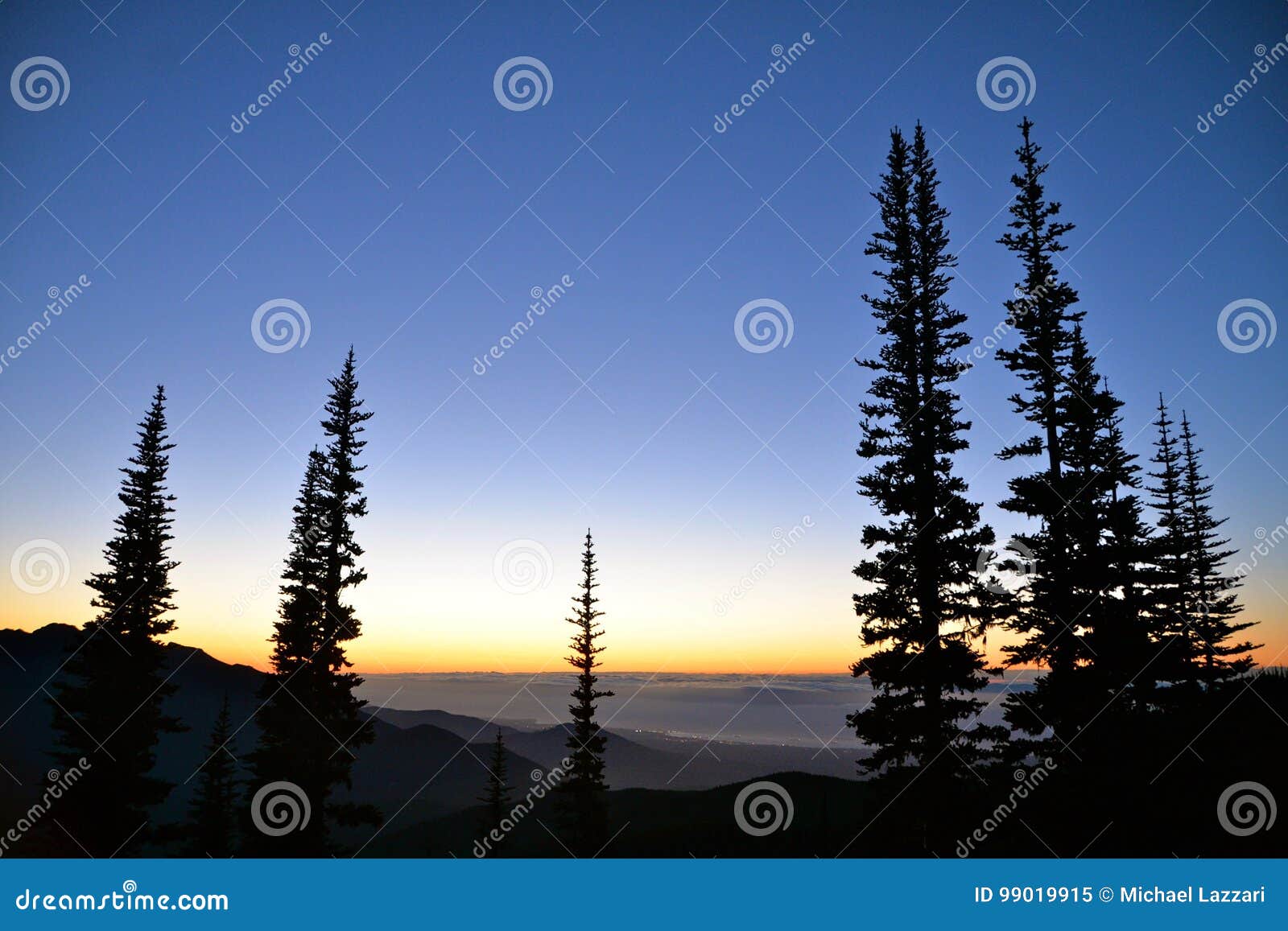 Trees and Twilight stock image. Image of western, trees - 99019915