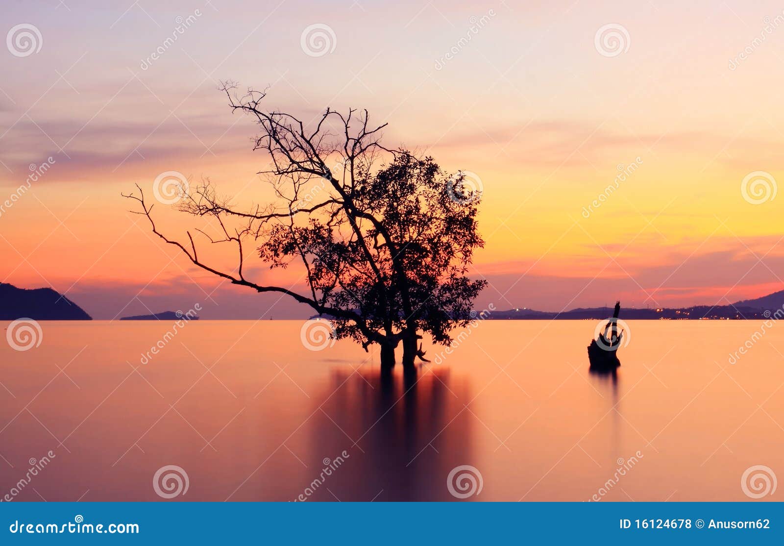 Twilight and Silhouettes Tree Stock Photo - Image of solitary, orange ...