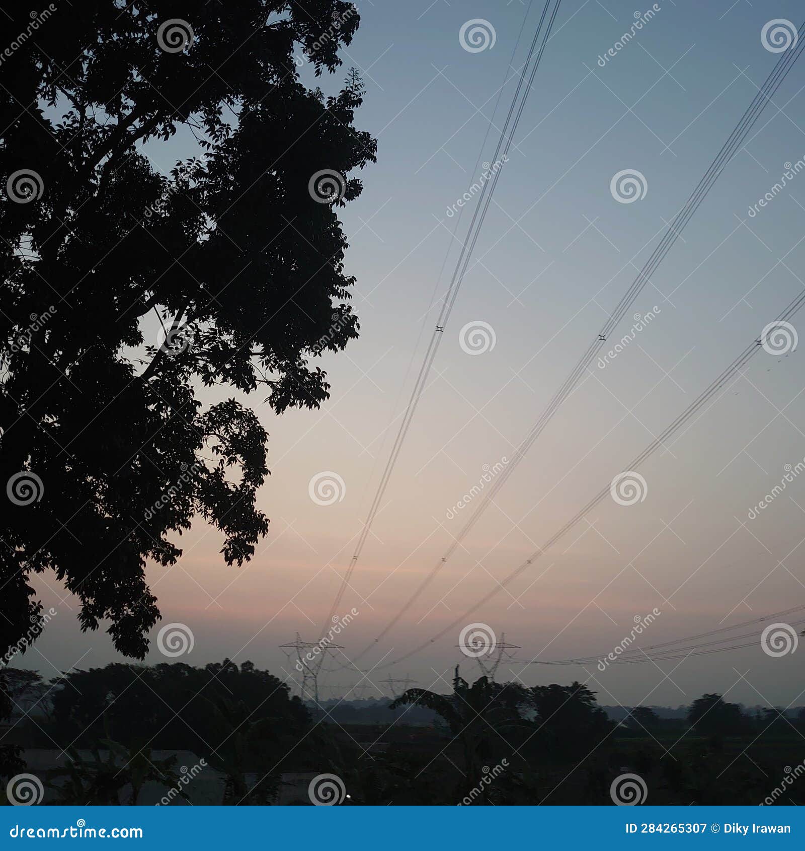 Twilight sky stock image. Image of beautiful, trees - 284265307