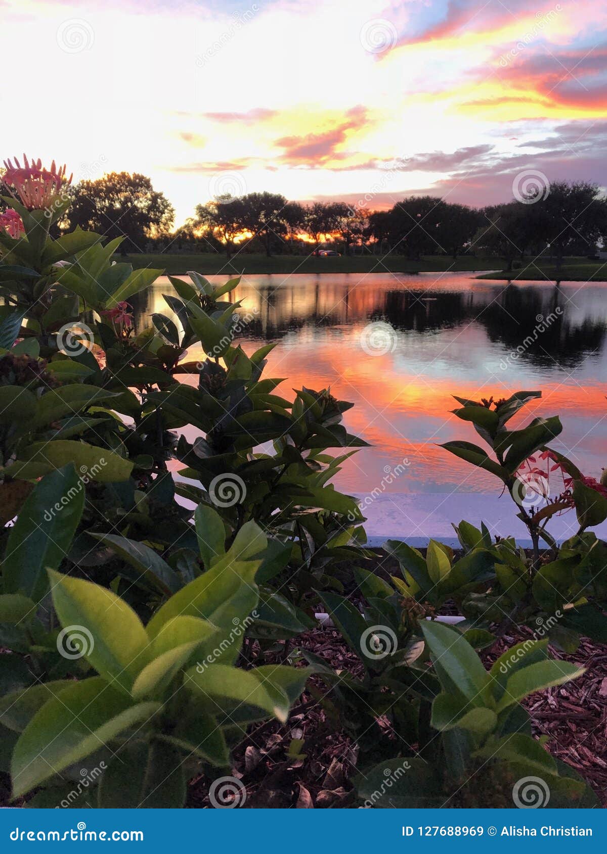 Twilight sky over water stock image. Image of twilight - 127688969