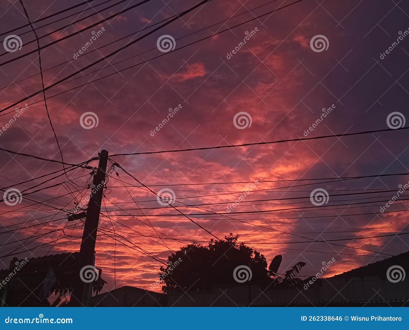 Twilight sky red stock photo. Image of cloud, evening - 262338646