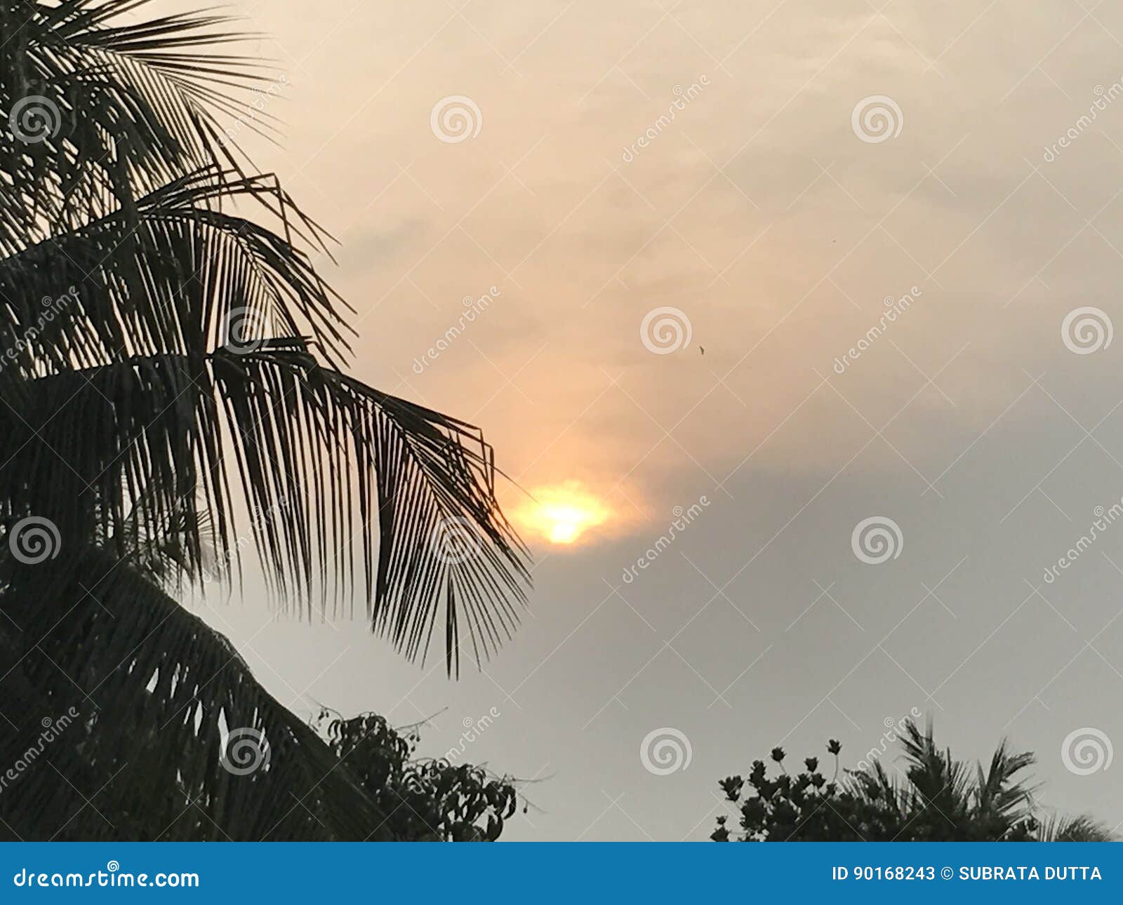 Twilight stock image. Image of trees, twilight, skyscape - 90168243